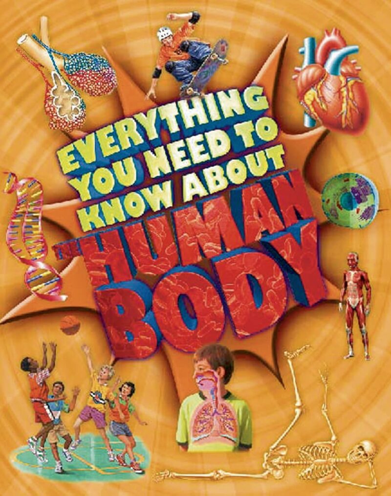 Everything You Need To Know about the Human Body – Egyptian American ...